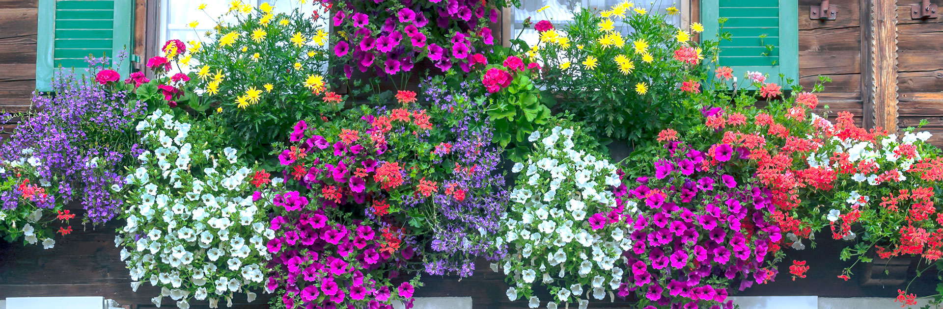 Concours des maisons et balcons fleuris - Ville de Vendôme - Site officiel